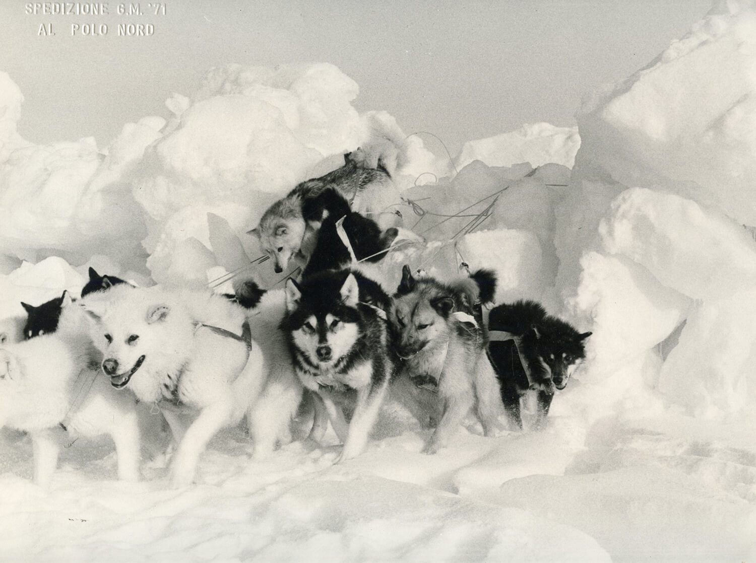 El primer (y único) chileno que llegó al Polo Norte - Galería digital EFM