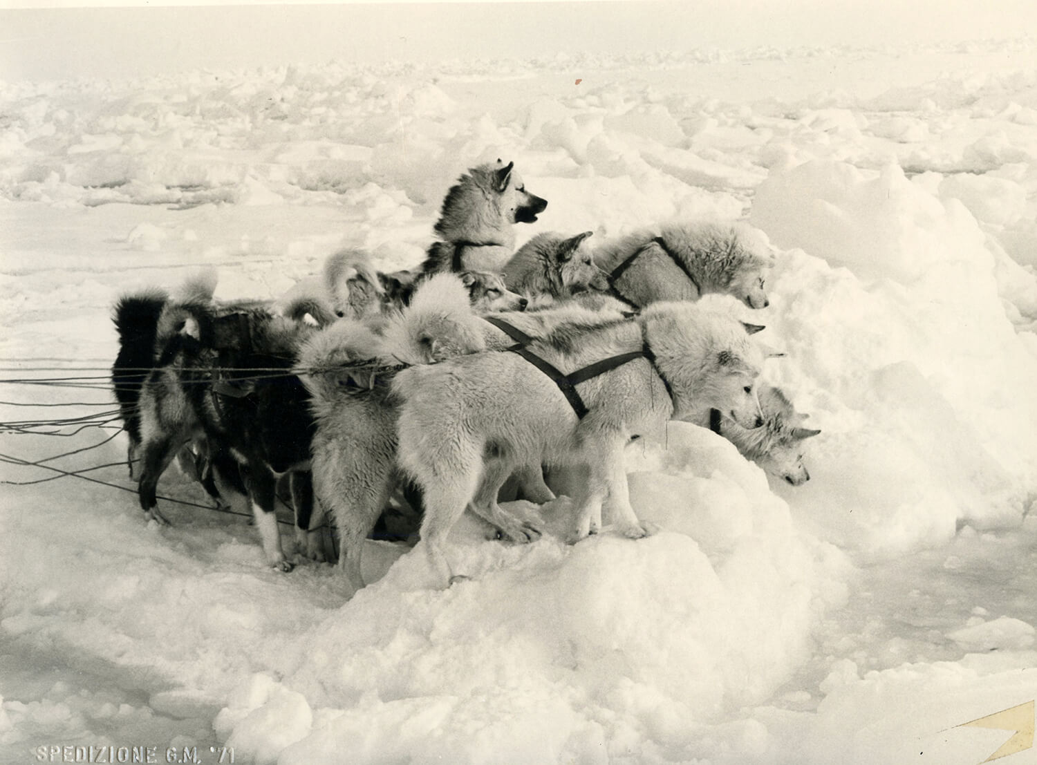 El primer (y único) chileno que llegó al Polo Norte - Galería digital EFM